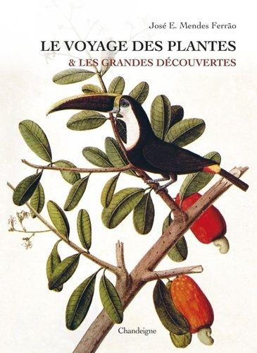 Ferao - Meilleures offres neuf et occasion