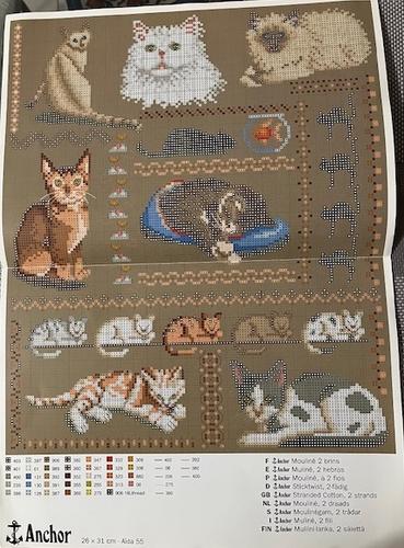 Schema Revue - Achat neuf ou d'occasion pas cher | Rakuten