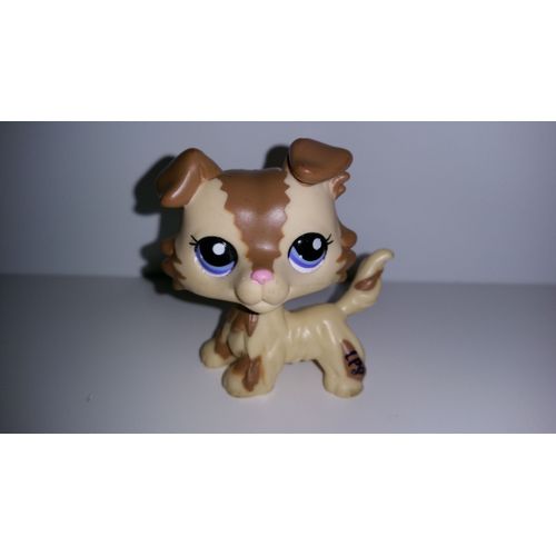 Littlest Petshop Lps Pet Shop Chien Colley Border Collie Dog ☆★ Hasbro ... Littlest Petshop Lps Pet Shop Chien Colley Border Collie Dog ☆★ Hasbro ...