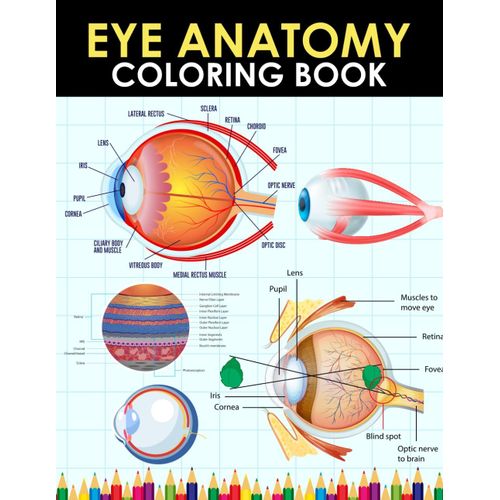 Eye Anatomy Coloring Book: Human Eye Anatomy Coloring Book With ...