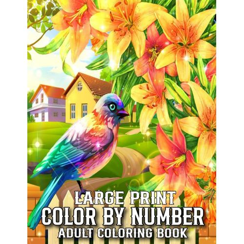Large Print Color By Number Adult Coloring Book: 100 Page Large Print ...