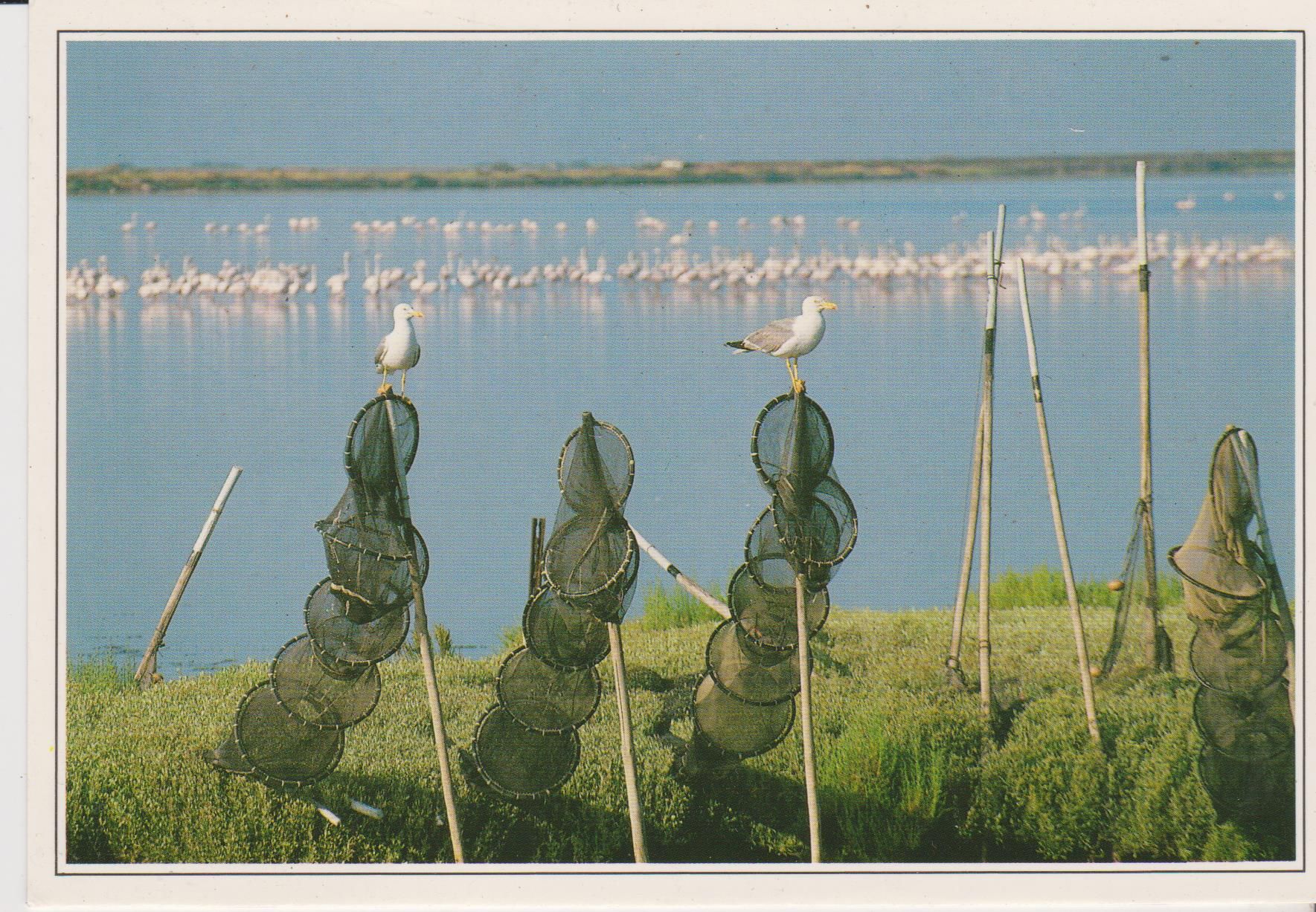 Nasse Peche d’occasion | Plus que 2 à -70%