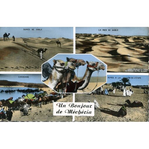 CARTE POSTALE de Mecheria (Algérie) 5 vues | Rakuten
