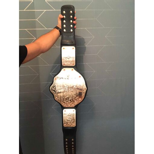 Wwe Ceinture d’occasion | Plus que 4 à -70%