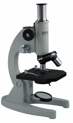 Microscope Paralux d’occasion | Plus que 4 exemplaires à -75%