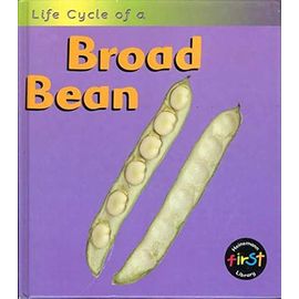Life Cycle Of A Broad Bean (life Cycle Of A...) | Rakuten