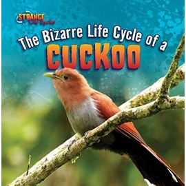 The Bizarre Life Cycle Of A Cuckoo (strange Life Cycles (gareth Stevens ...