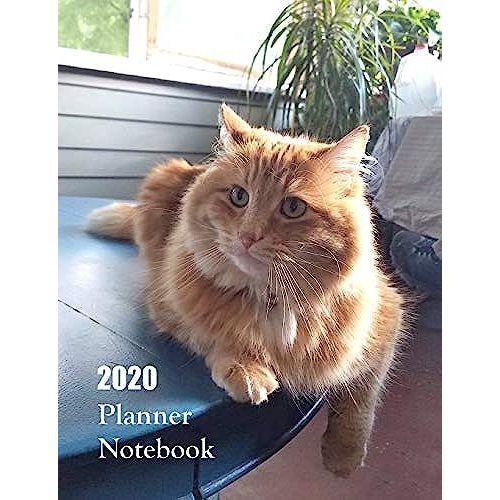 2020 Planner Notebook: Cute Orange Tabby Cat Planner Book With Monthly ...