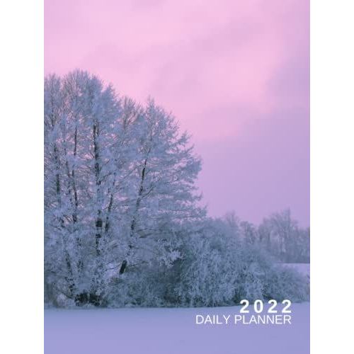 2022 Daily Planner One Page Per Day: Large 365 Days Planner 2022 With ...