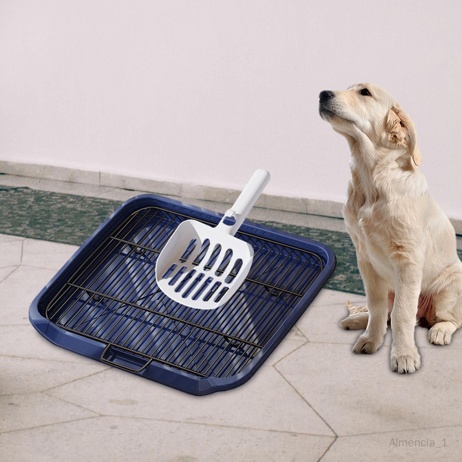 Dog holder store