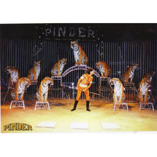 CARTE POSTALE XX EME SIECLE THEME CIRQUES - CIRQUE PINDER JEAN RICHARD ...