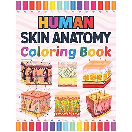 Human Skin Anatomy Coloring Book: Human Skin Anatomy Student's Self ...