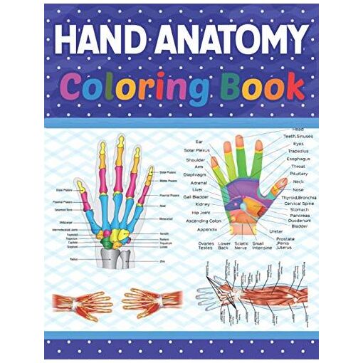 Hand Anatomy Coloring Book: Human Hand and Human Anatomy Learning ...