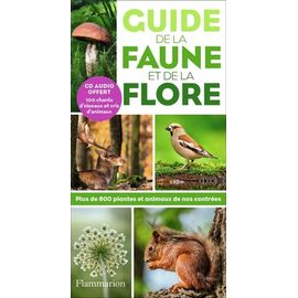 Guide De La Faune Et De La Flore - (1 Cd Audio Mp3) | Rakuten