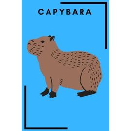 Capybara: Perfect Capybara Notebook - Journal For Capybara Lovers 120 ...