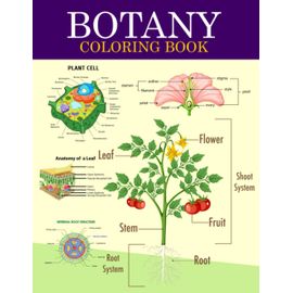 Botany Coloring Book: Incredibly Detailed Plants Anatomy Coloring Pages ...