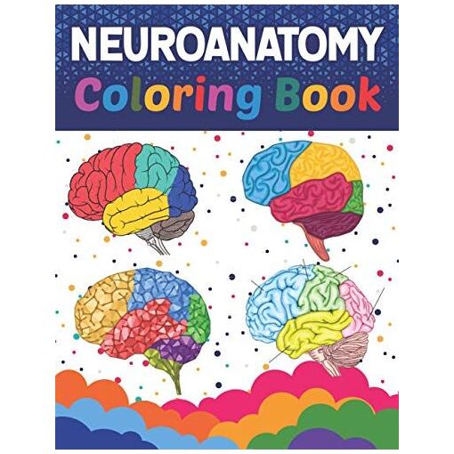 Neuroanatomy Coloring Book: Introduction To Human Brain Anatomy ...