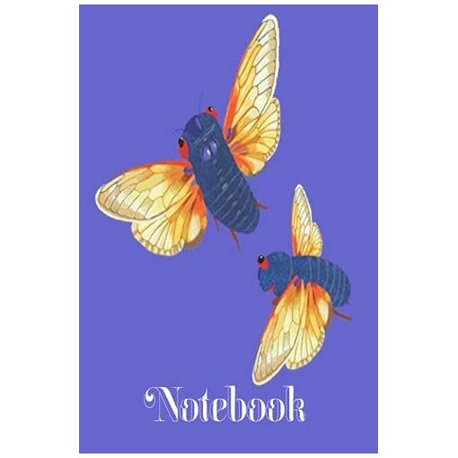 Notebook - Beautifully Illustrated And Fun, Cecily Cicada Daily Planner ...