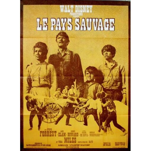Le Pays Sauvage / Walt Disney - Affiche Originale De Cinéma - Format ...