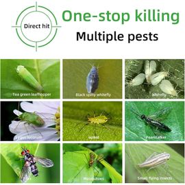 30 Pcs Jaune Mouche piège Double Face,Attrape Mouche,Moucheron Fruit ...