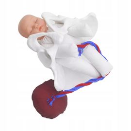 Modèle de bassin d'enfant humain de sexe féminin avec modèle anatomique de placenta, Mini | Rakuten