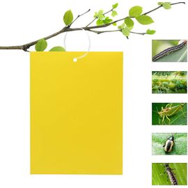 50 x Insect Traps,Double-Sided Sticky Paper,Yellow Sticky Papers for ...