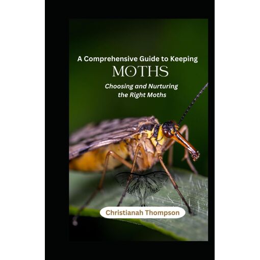 A Comprehensive Guide To Keeping Moths: Choosing And Nurturing The ...