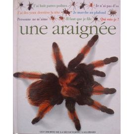 Qui suis-je ? une Araignée - Enfant, jeunesse | Rakuten