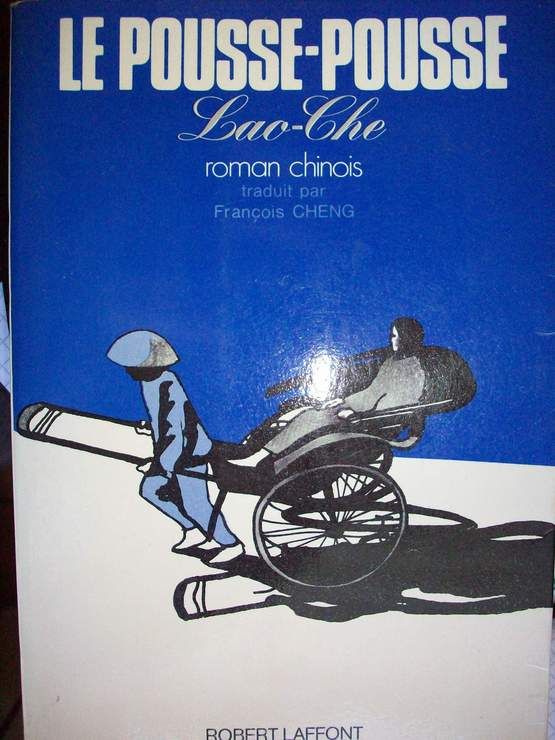 Pousse Pousse Chinois d’occasion | Plus que 2 à -70%