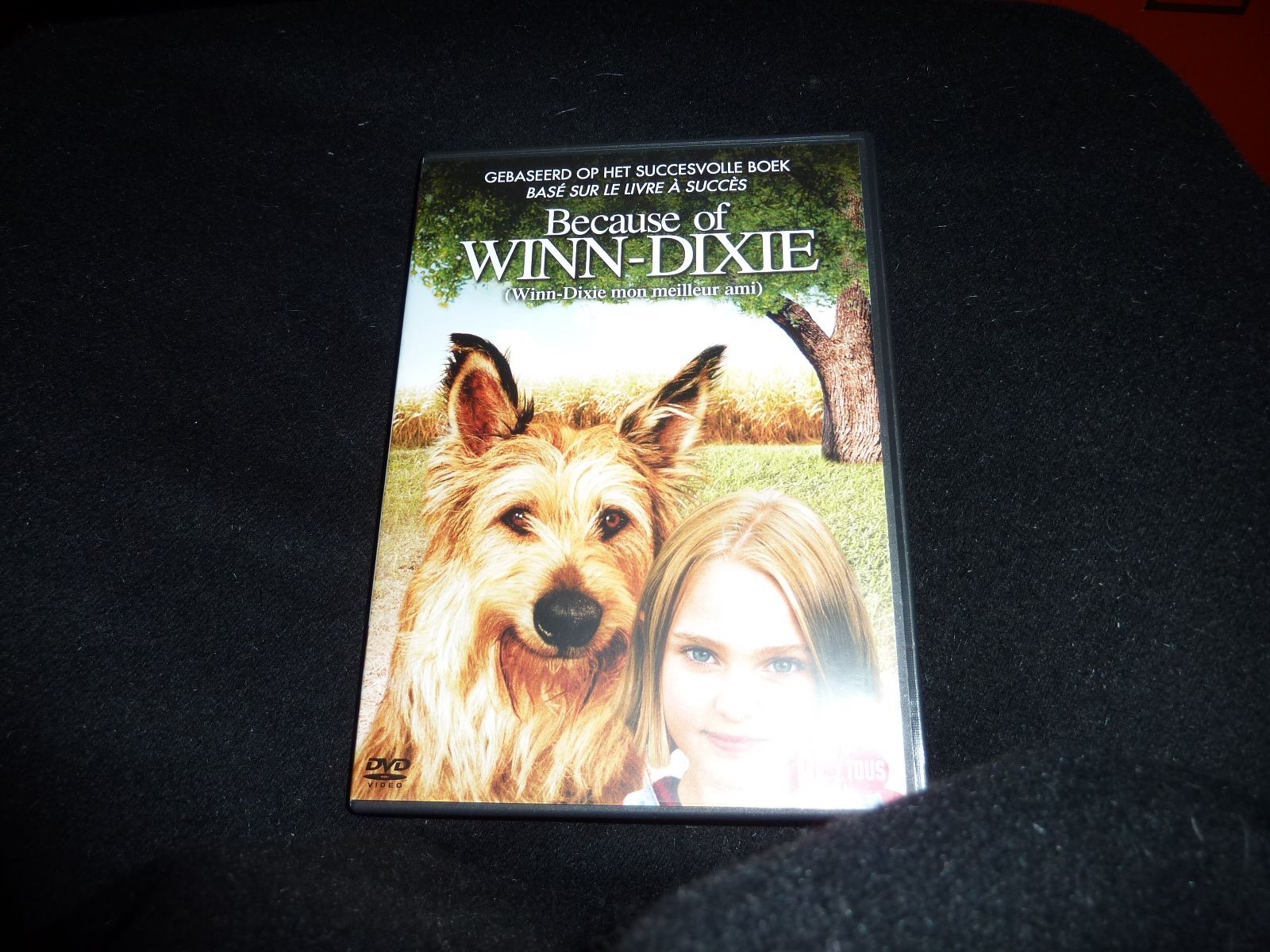 Because Of Winn-Dixie - Movie - DVD Zone 2 | Rakuten