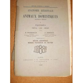Anatomie Regionale Des Animaux Domestiques Equides Cheval, Ane, Mulet ...
