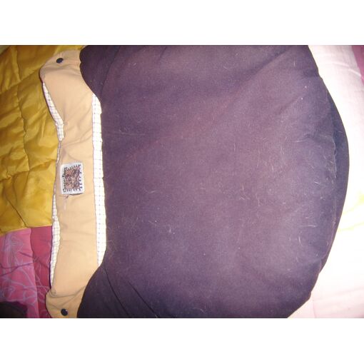 Graco Tot Loc Chair d’occasion
