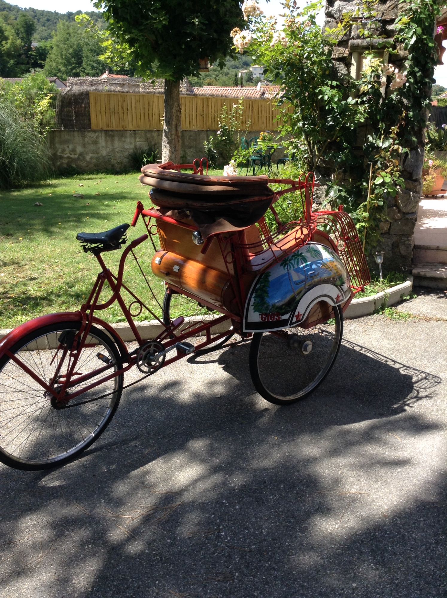 Pousse Pousse Chinois d’occasion | Plus que 2 à -70%