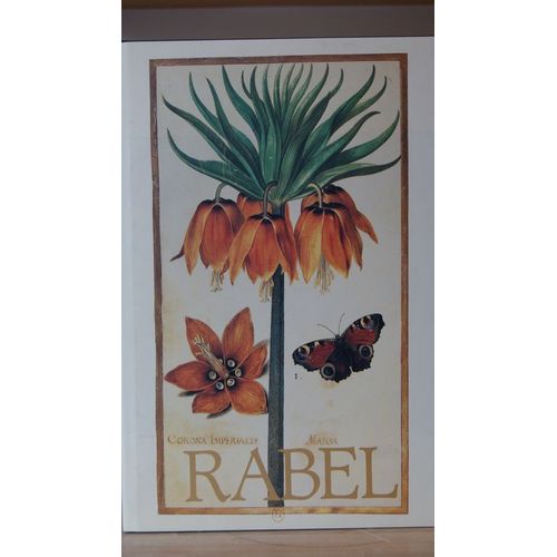 Daniel Rabel - collection Bibliothèque nationale, Paris | Rakuten