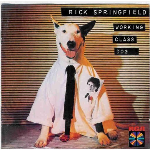 Working class dog - CD | Rakuten