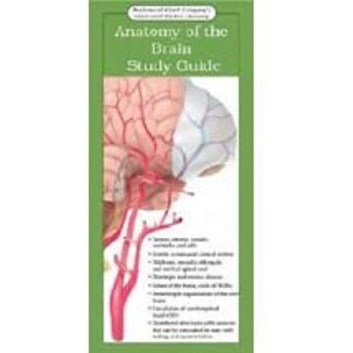 Anatomical Chart Company's Illustrated Pocket Anatomy: Anatomy Of The ...