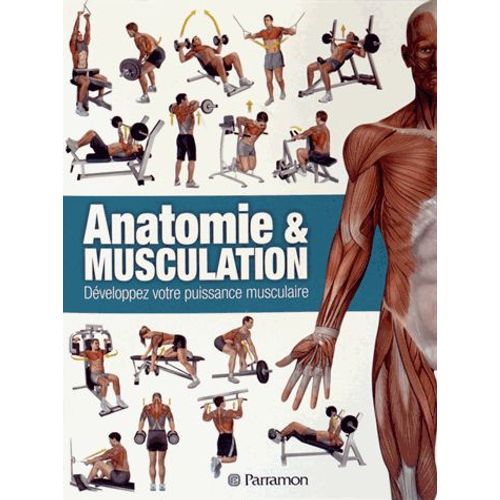 Anatomie And Musculation Développez Votre Puissance Musculaire Rakuten