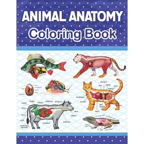 Animal Anatomy Coloring Book: Introduction to Animal Anatomy and ...