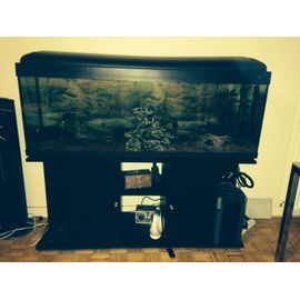 Aquarium complet 360 litres - poisson | Rakuten