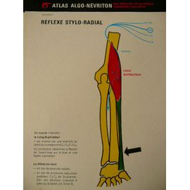 Atlas medical - planche du reflexe stylo-radial - publicite ...
