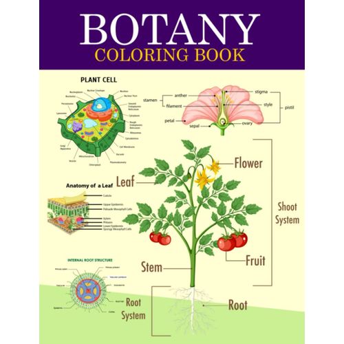 Botany Coloring Book: Incredibly Detailed Plants Anatomy Coloring Pages ...