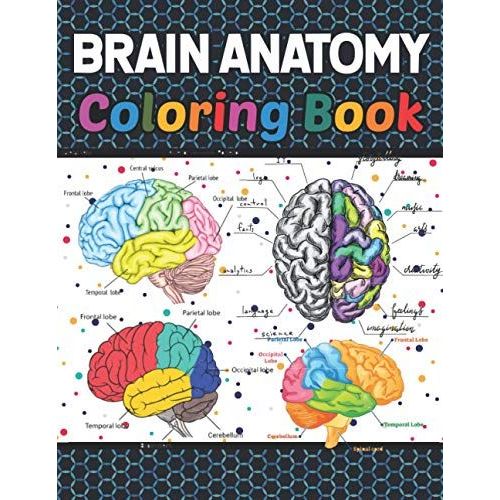 Brain Anatomy Coloring Book: Learn The Human Brain Anatomy With Fun ...