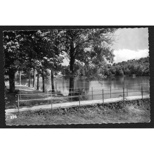 Carte postale ancienne, france, tarn ( 81 ), montredon labessonnie, un ...