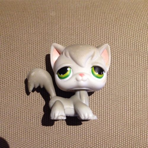 Chat Angora gris blanc (cat grey ) Littlest Petshop LPS # 20 | Rakuten