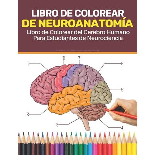 Cuaderno De Neurociencia Para Colorear - Libro de Colorear de Neuroanatom­a - Libro de Colorear ...