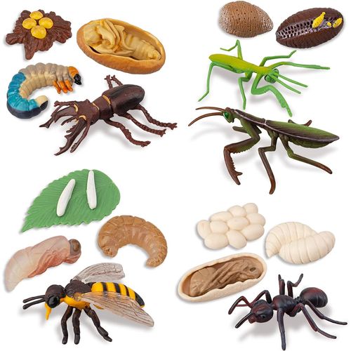 Cycle de Vie des Insectes - Figurines Éducatives pour Enfants - Kit de ...
