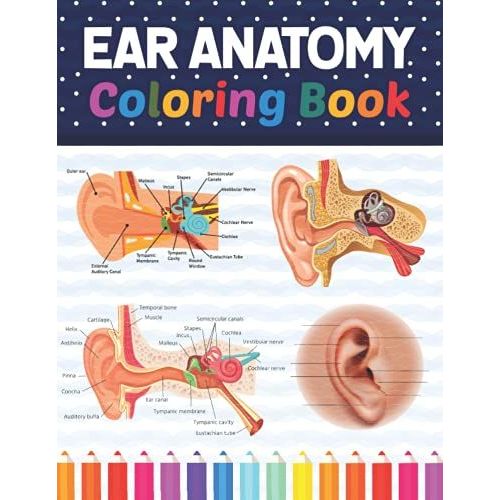Ear Anatomy Coloring Book: Ear Anatomy Coloring Book for kids. Human ...