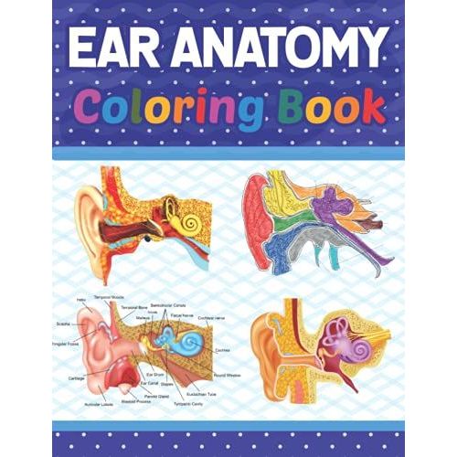 Ear Anatomy Coloring Book: Fun and Easy Human Ear Anatomy Coloring Book ...