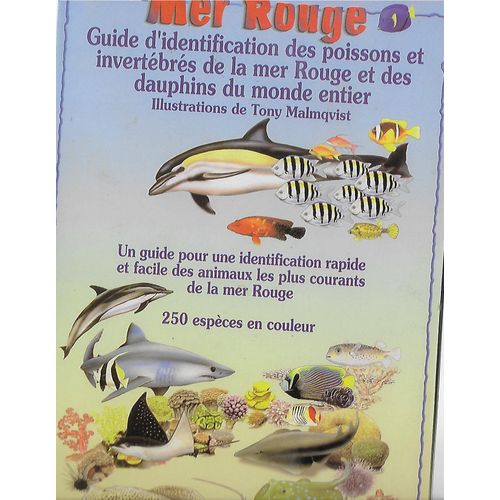 Guide d'identification 250 espèces Poissons et invertébrés MER ROUGE ...