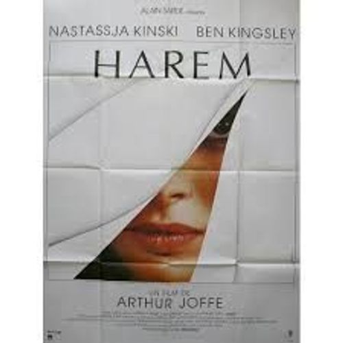 Harem de Arthur Joffé avec Nastassja Kinski, Ben Kingsley... - affiche originale de film format ...
